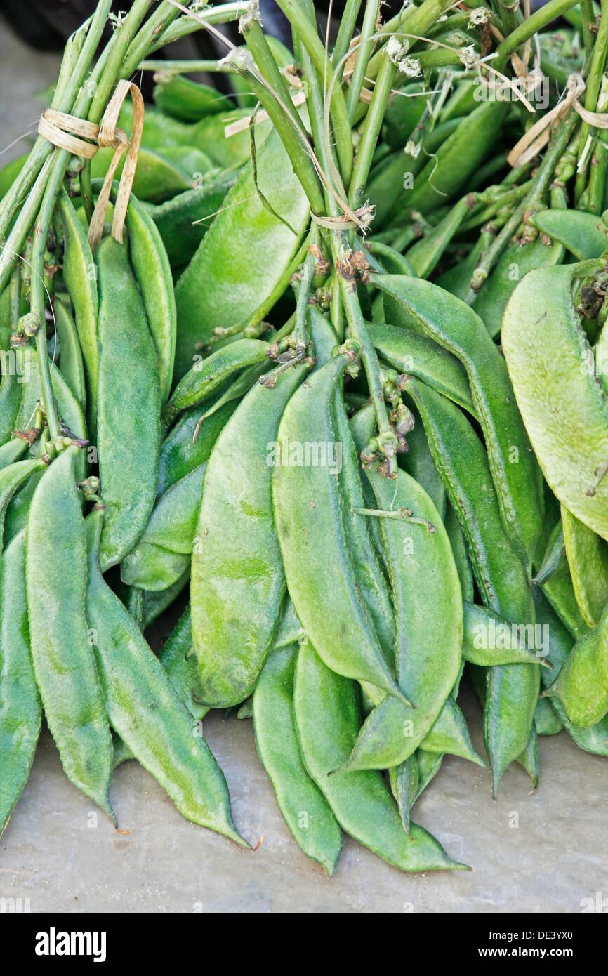 Dolichos field hi-res stock photography and images - Alamy