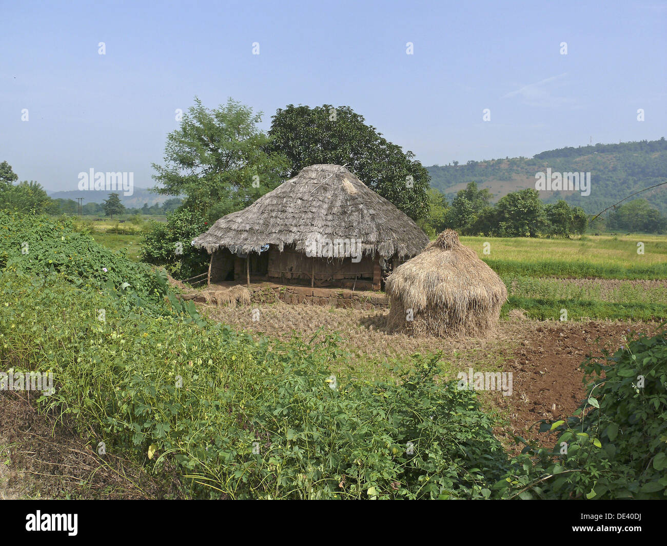 Small field strips hi-res stock photography and images - Alamy
