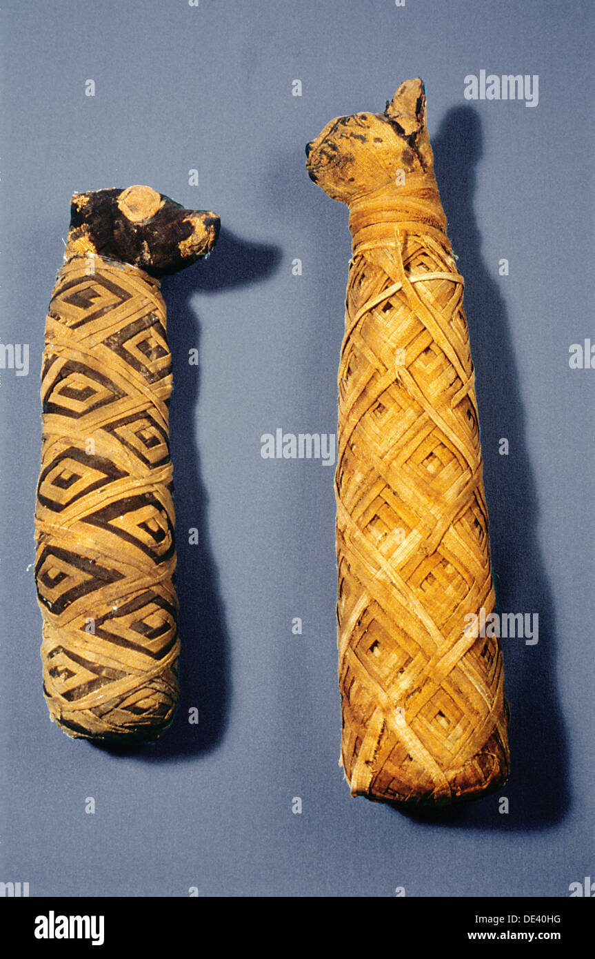 Mummy egypt dog hi-res stock photography and images - Alamy