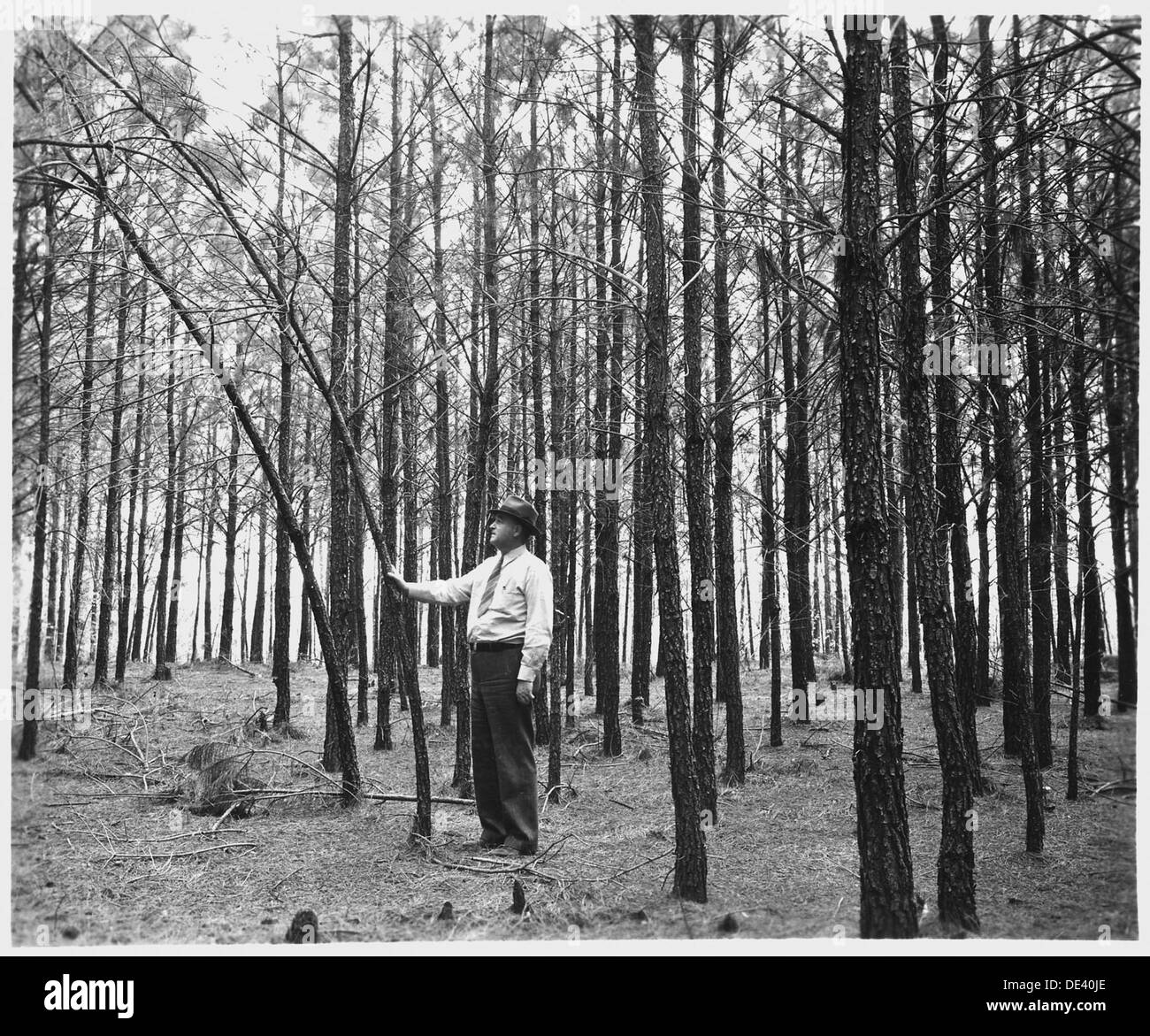 Groundwater control Black and White Stock Photos & Images - Alamy