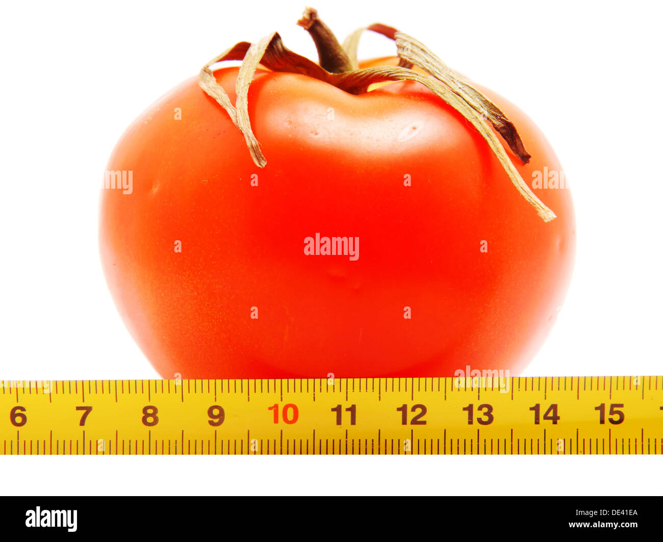 Tomato and ruler on a white background Stock Photo - Alamy