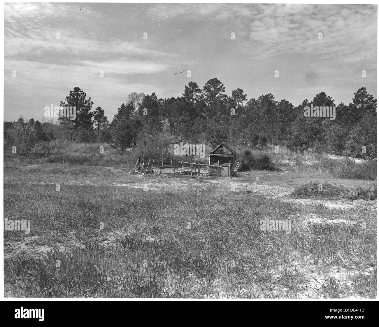 William hog Black and White Stock Photos & Images - Alamy