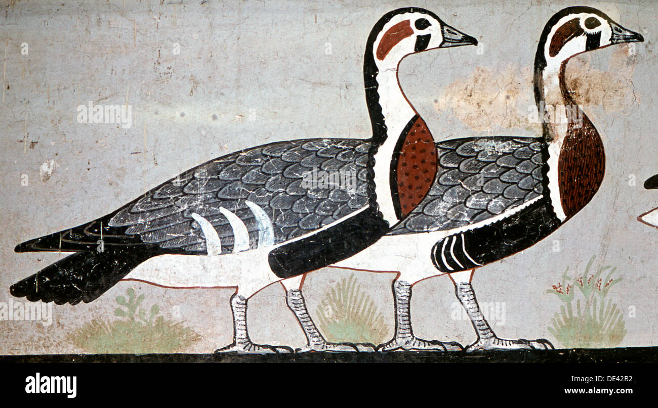 Egyptian meidum geese hi-res stock photography and images - Alamy