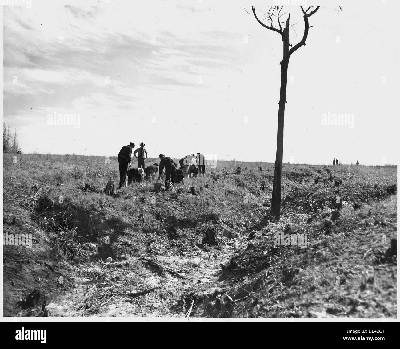 Civilian Conservation Corps (CCC) enrollees are seen planting kudzu on ...