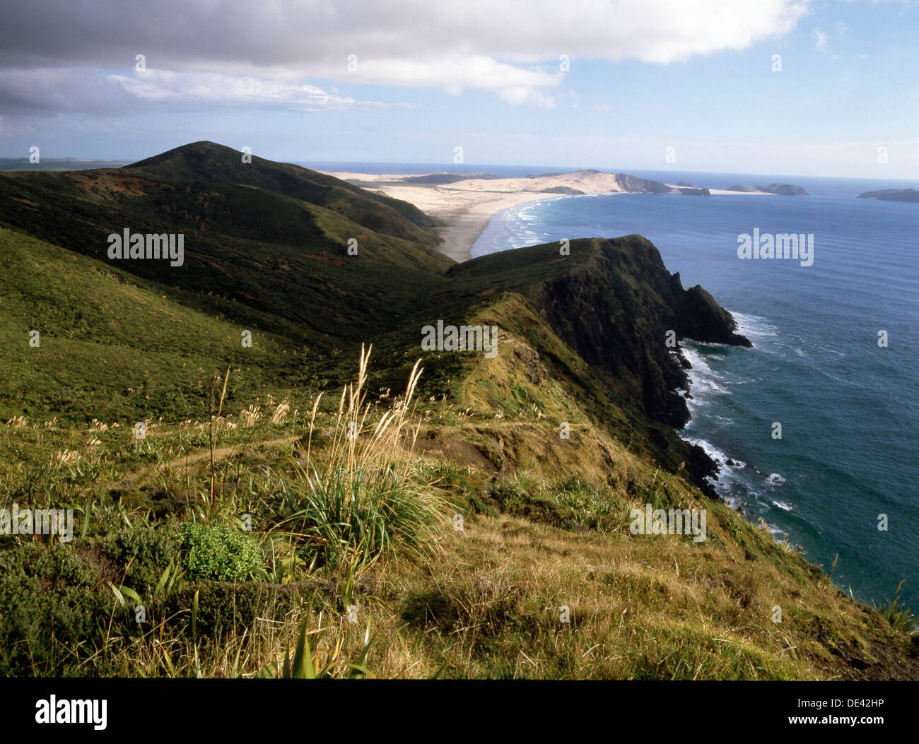 Kupe polynesia hi-res stock photography and images - Alamy