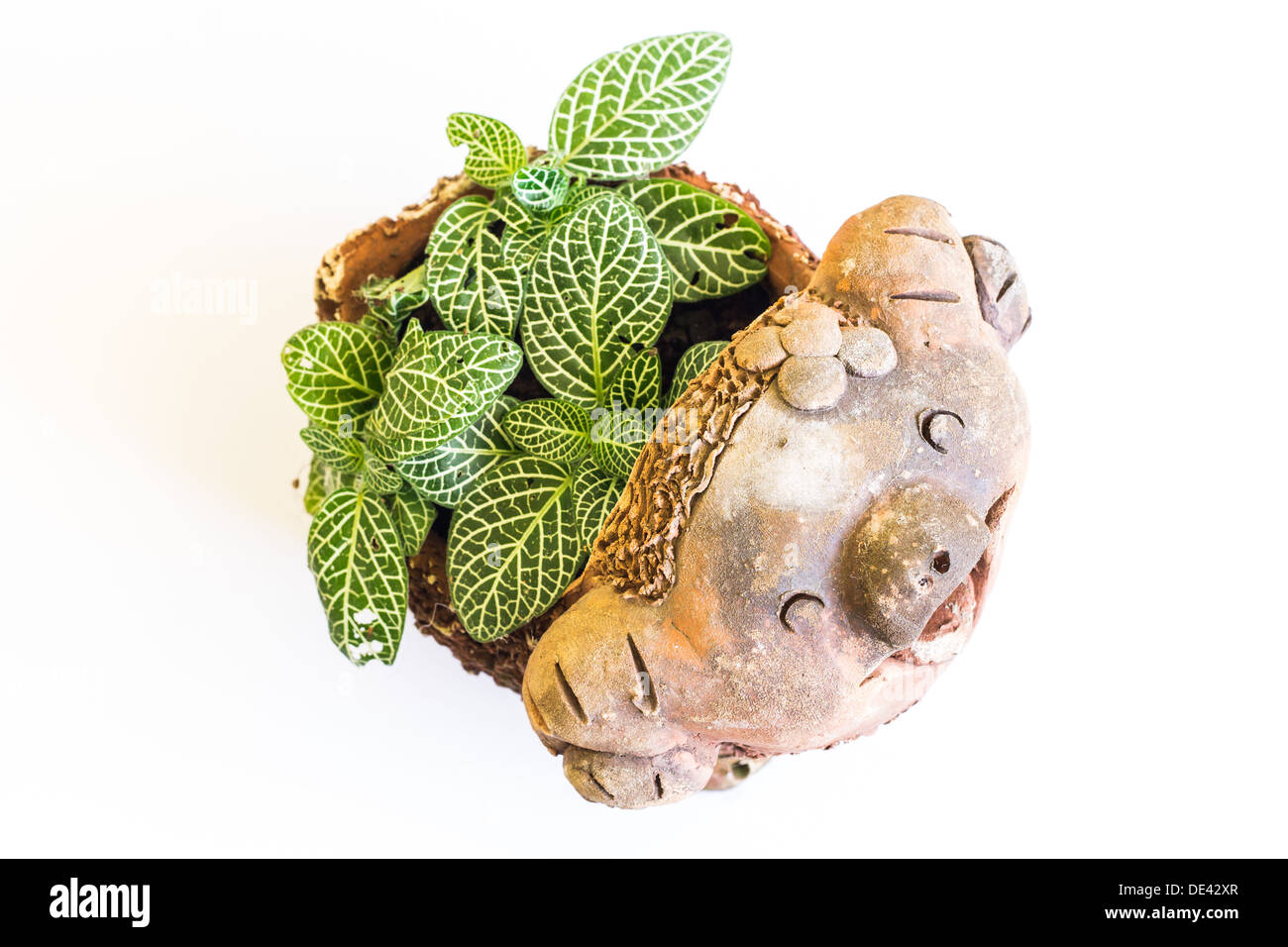 Clay pot with flowers Cut Out Stock Images & Pictures - Alamy