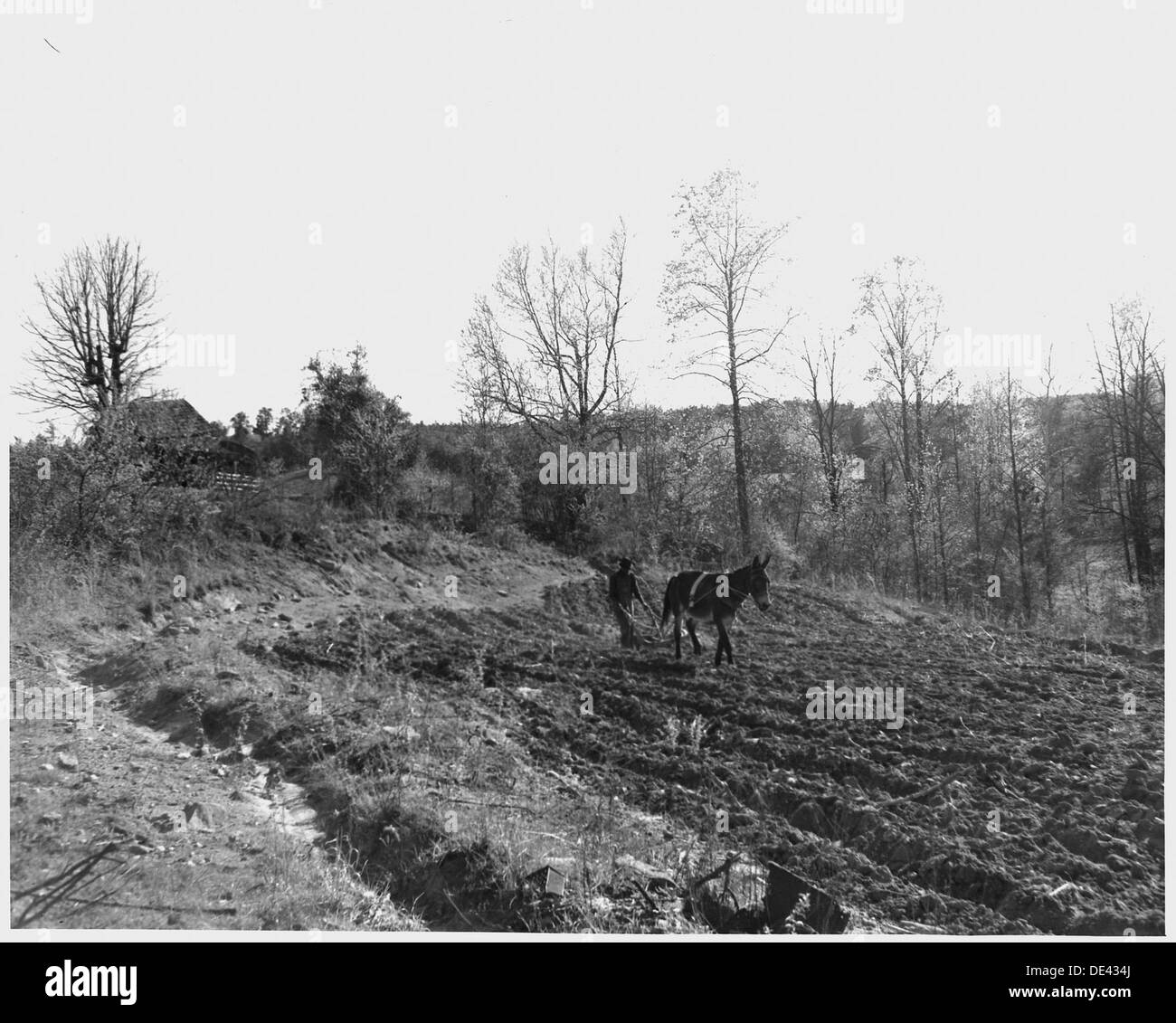 Whitmire south carolina hi-res stock photography and images - Alamy