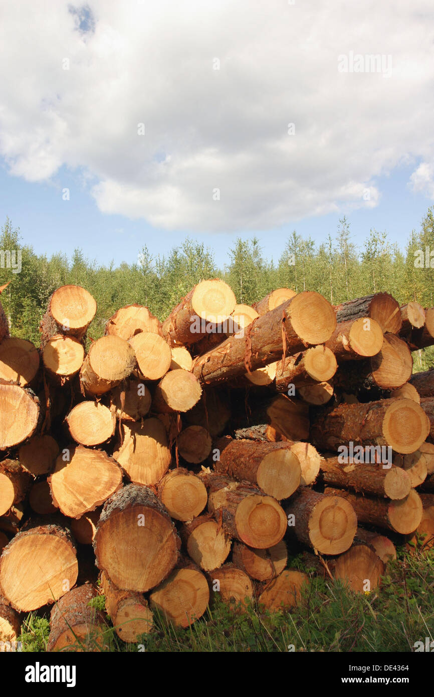 Deforestation finland hi-res stock photography and images - Alamy
