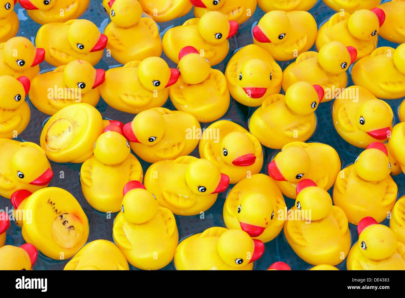 Many rubber duckys hi-res stock photography and images - Alamy