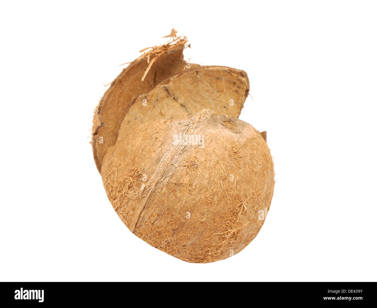Use coconut shell Cut Out Stock Images & Pictures - Alamy