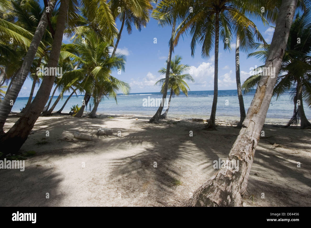 Fronton beach dominican republic hi-res stock photography and images ...