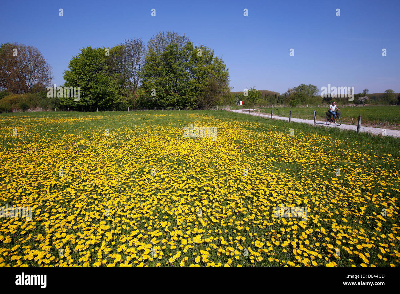 Wetland habitat germany hi-res stock photography and images - Alamy