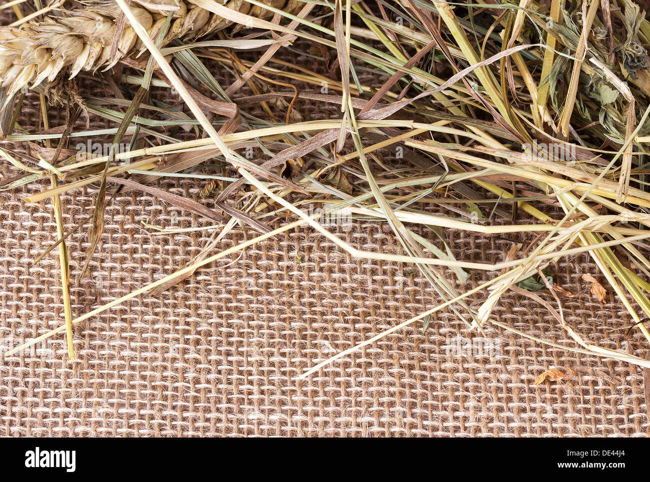 Hay healthy hi-res stock photography and images - Alamy