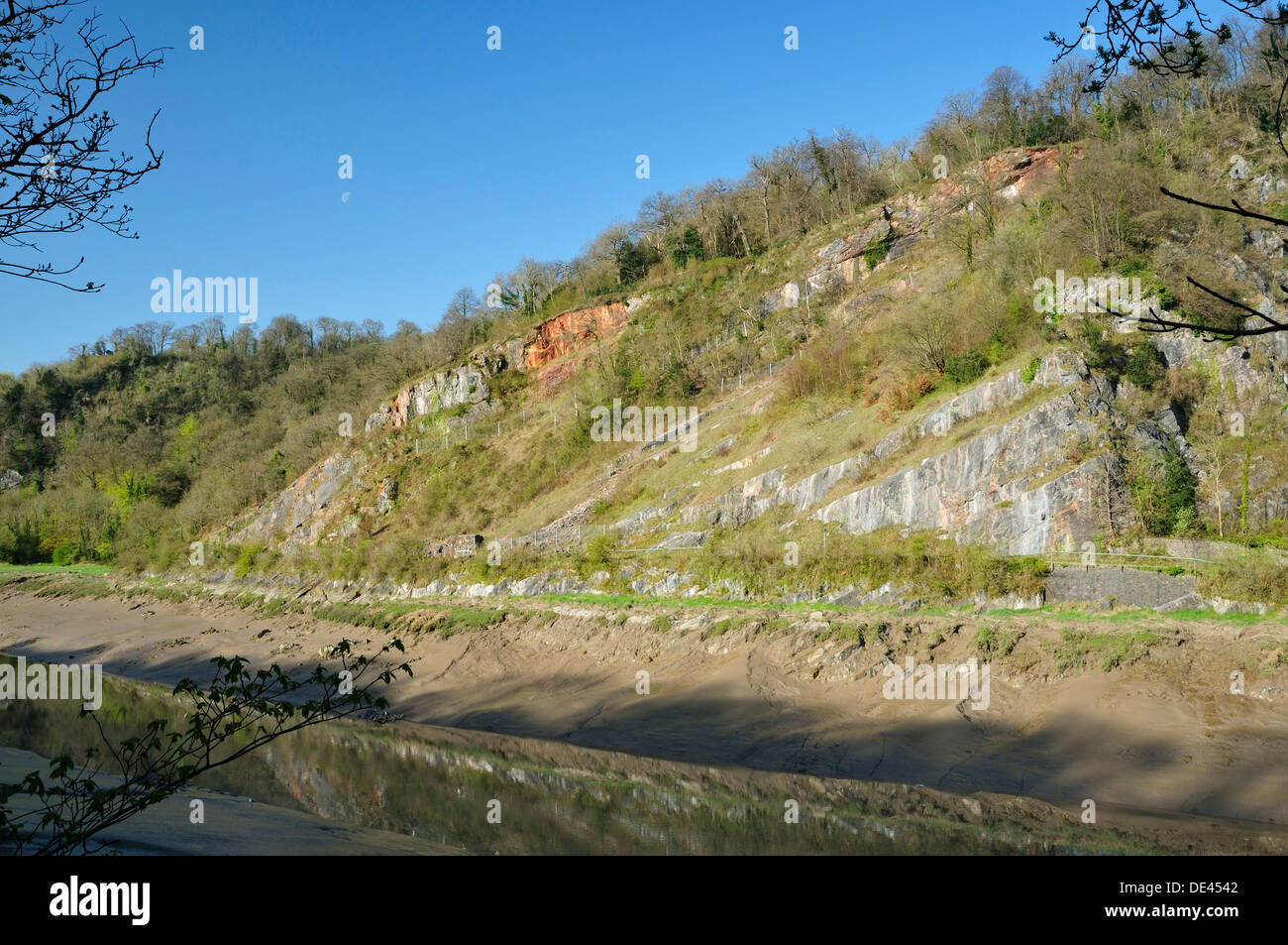 Morning Sun on Limestone Cliffs of West Side of Avon Gorge, Bristol ...