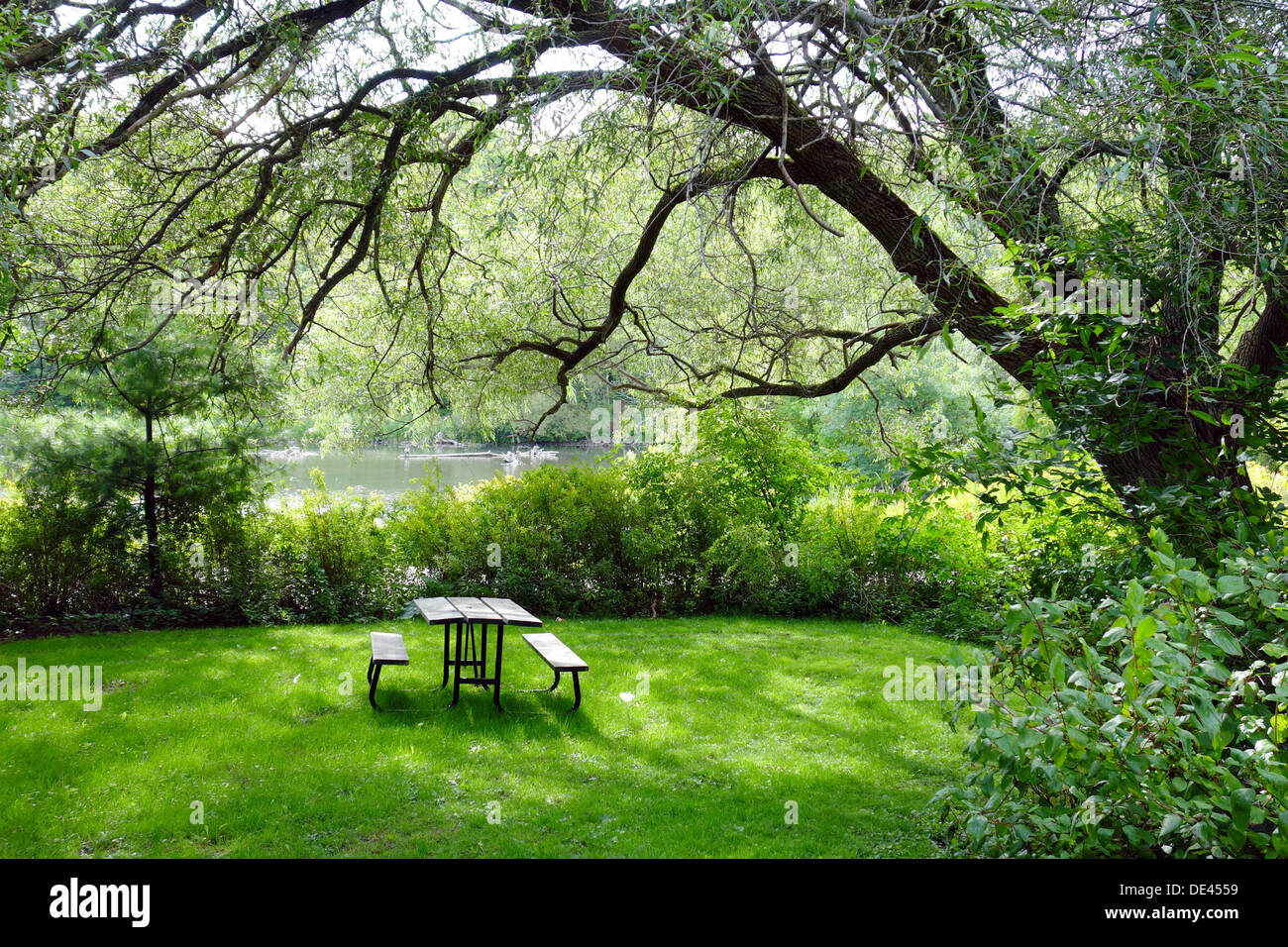 Picnic area in a park in Ontario Stock Photo - Alamy