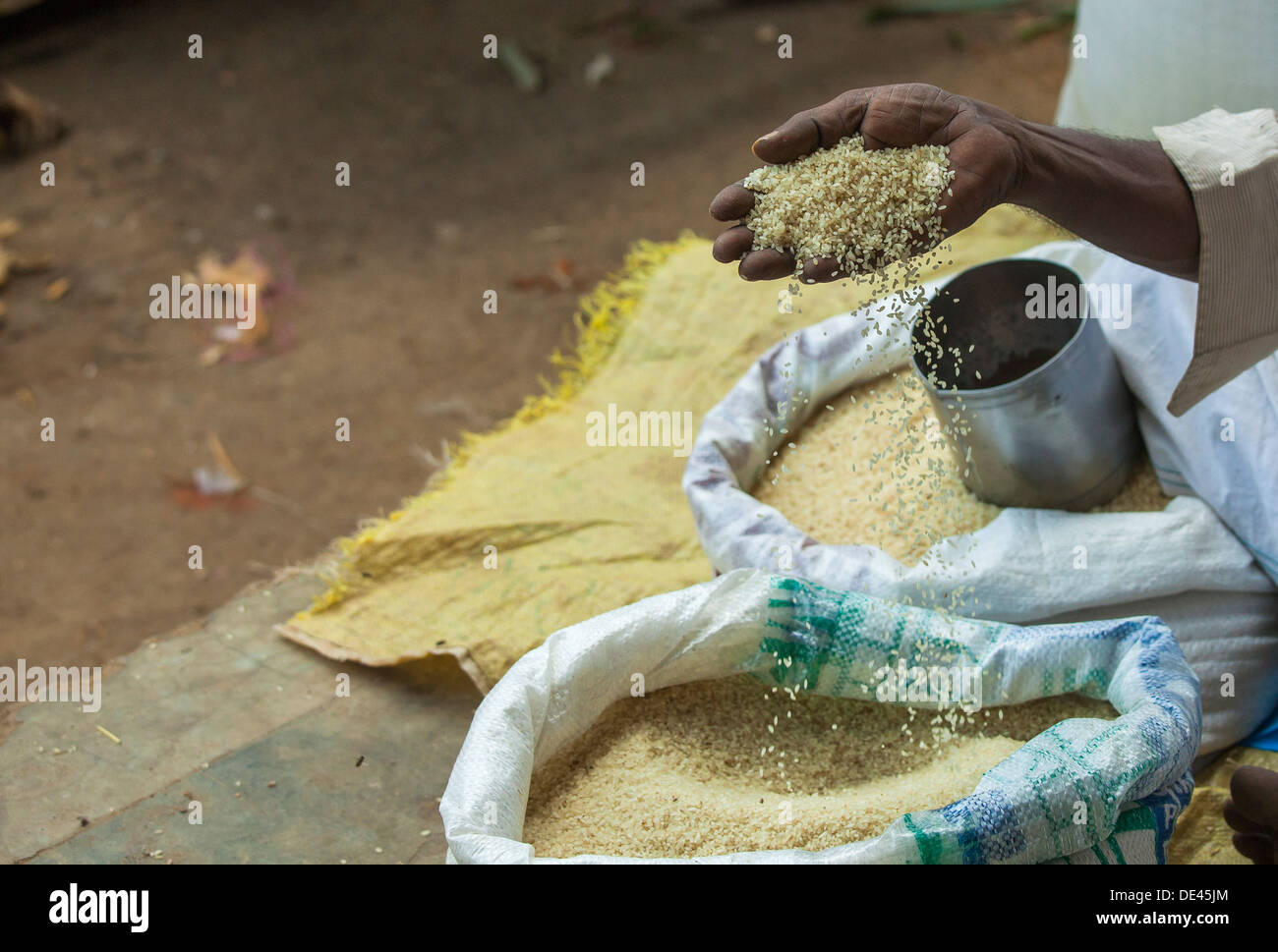 Grains of rice pouring from a black hand Stock Photo - Alamy