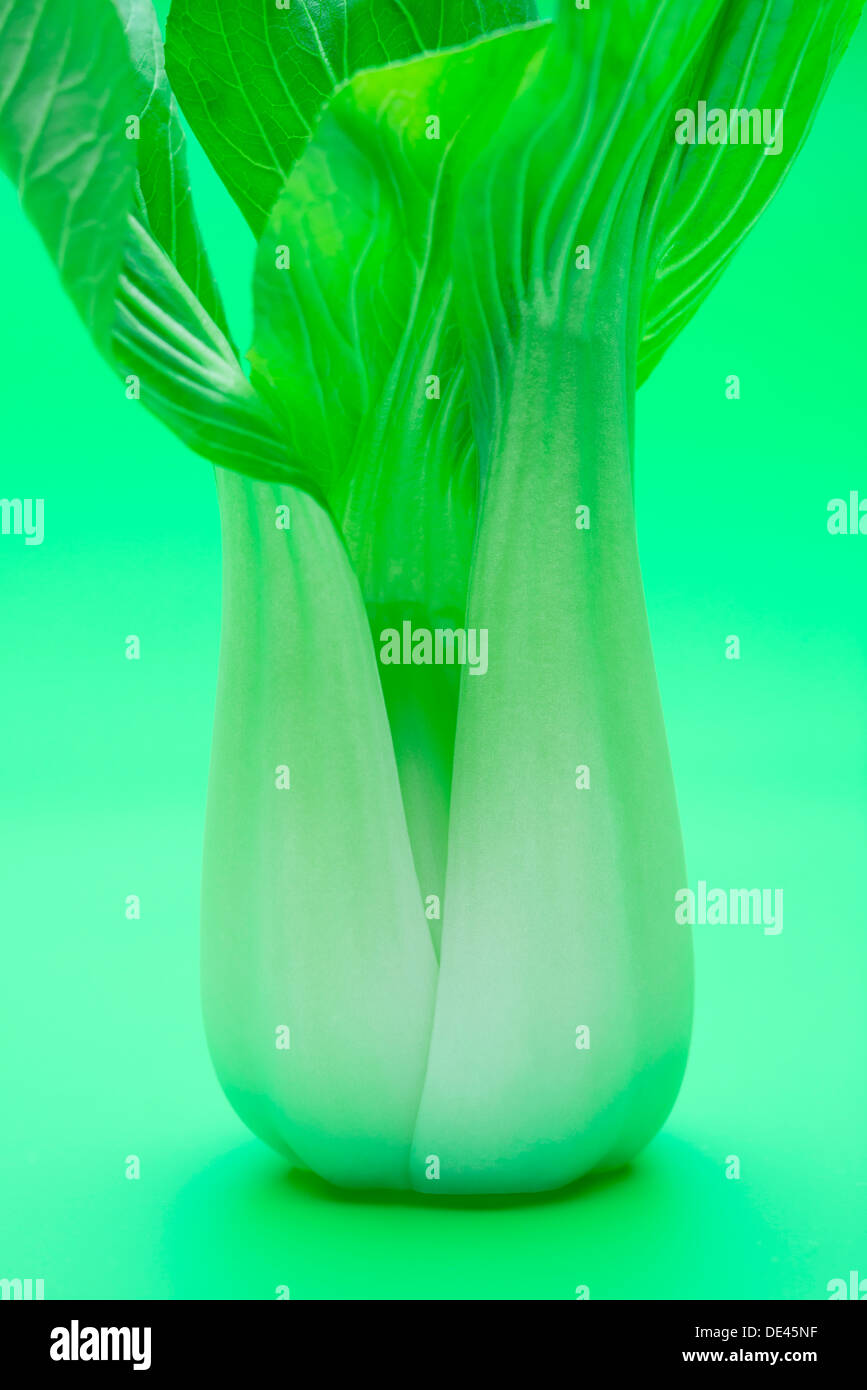 Contemporary chinese cuisine hi-res stock photography and images - Alamy