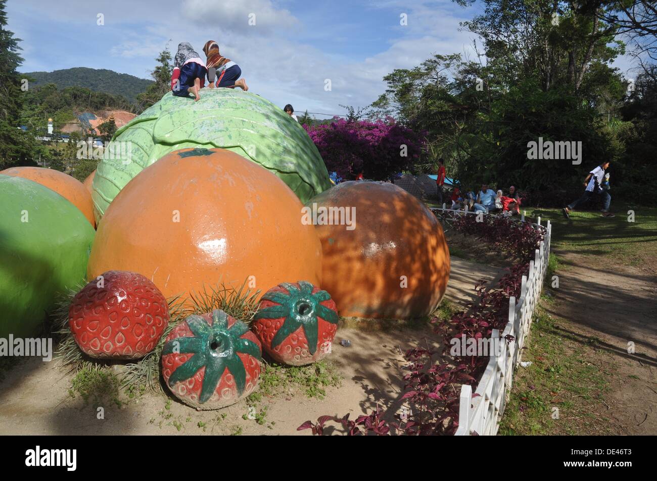 Rata fruit hi-res stock photography and images - Alamy