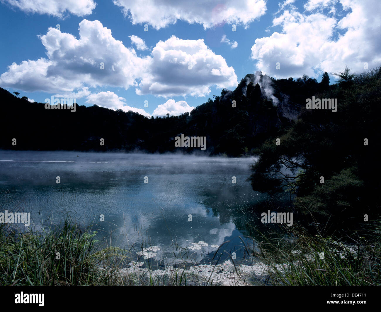 Hells Gate New Zealand Stock Photos & Hells Gate New Zealand Stock ...
