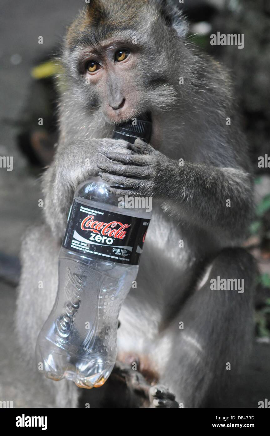 Hand holding coca cola bottle hi-res stock photography and images - Alamy