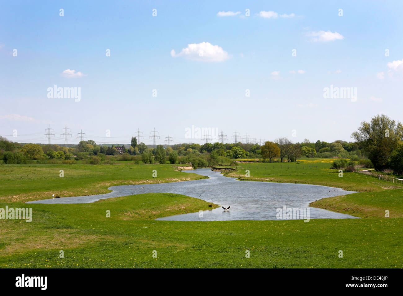 Hamm, Germany, landscape along the Lippeauenpfads Stock Photo - Alamy