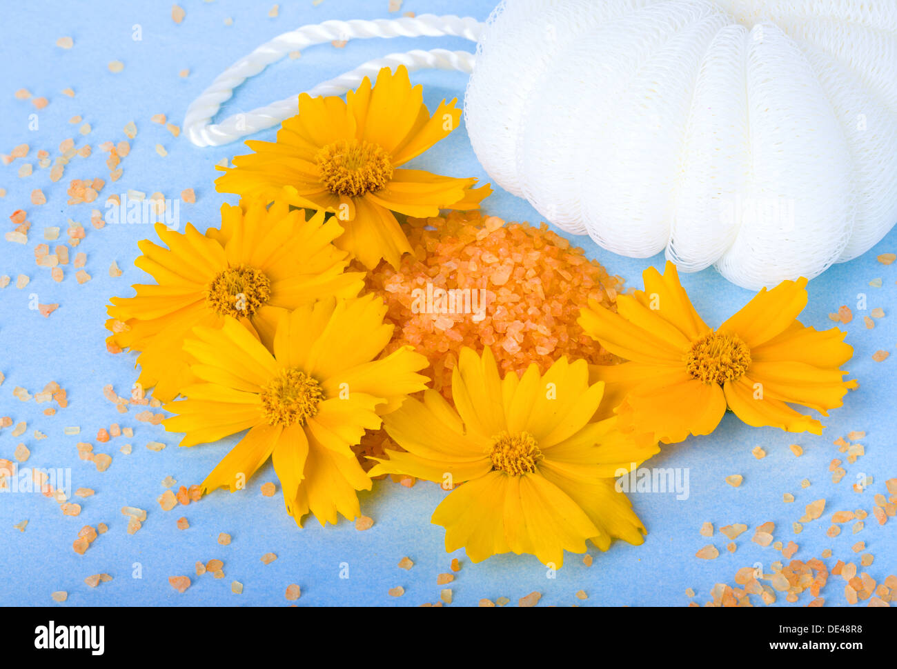 Beauty spa concept sea hi-res stock photography and images - Alamy