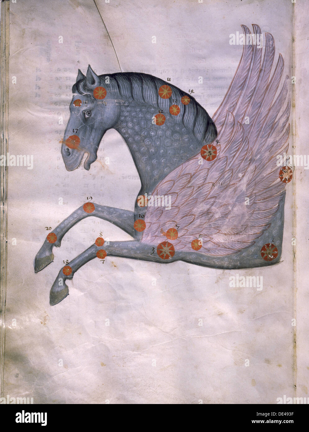 Al sufi constellation hi-res stock photography and images - Alamy