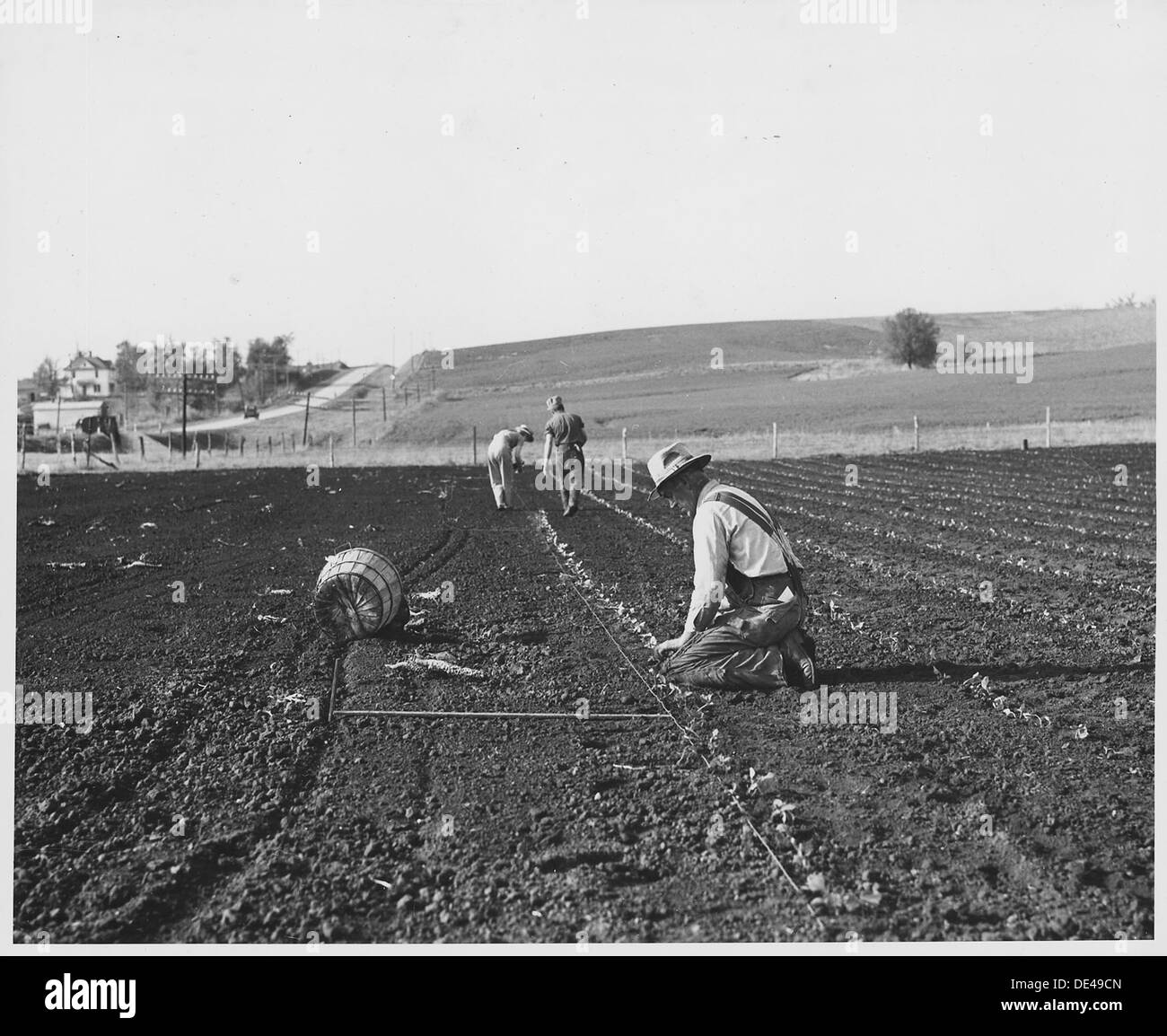 Larger market Black and White Stock Photos & Images - Alamy