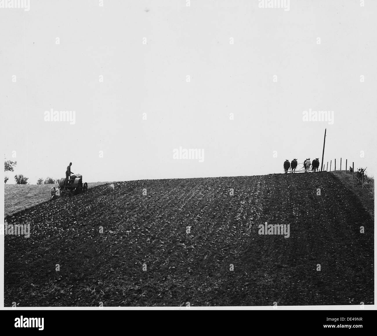 A mule plow Black and White Stock Photos & Images - Alamy