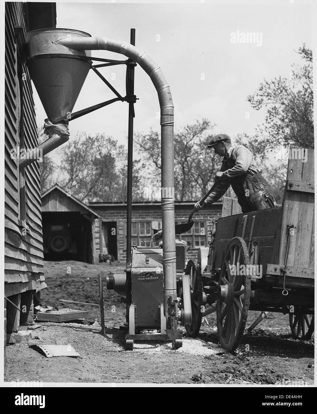 Shelby County, Iowa.... Grinding feed at home. The grinder, a new and ...