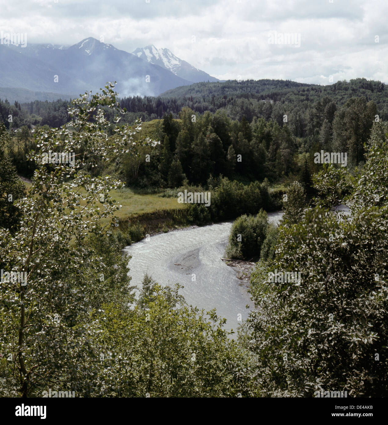 Tsimshian indian hi-res stock photography and images - Alamy