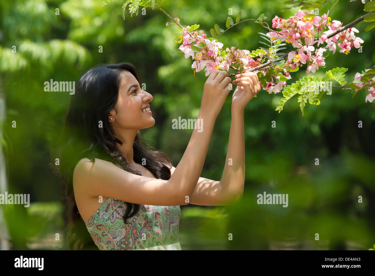 Young woman looking at flowers on a branch Stock Photo - Alamy