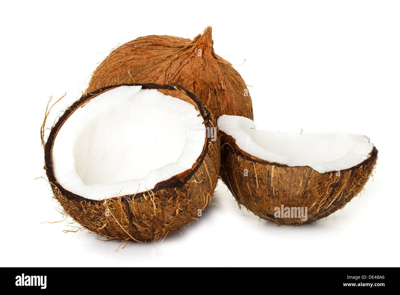 Coconut. Coco Nut isolated on white Background Stock Photo - Alamy