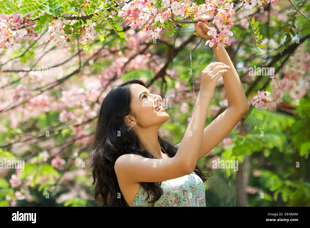A woman photographs flowers hi-res stock photography and images - Alamy