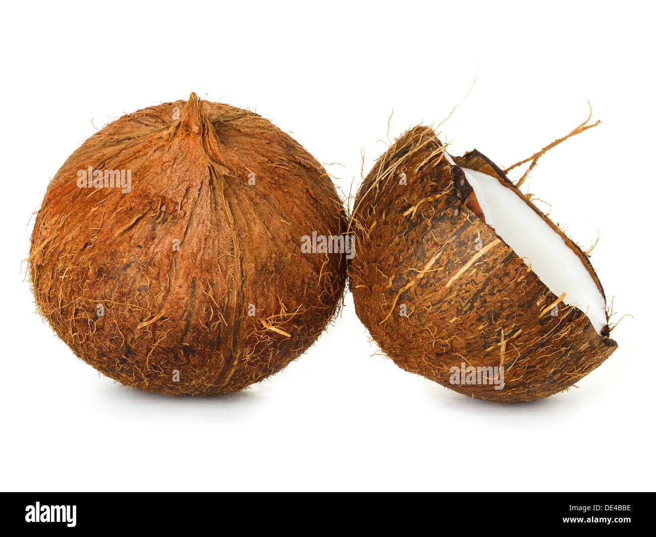 Coconut. Coco Nut isolated on white Background Stock Photo - Alamy