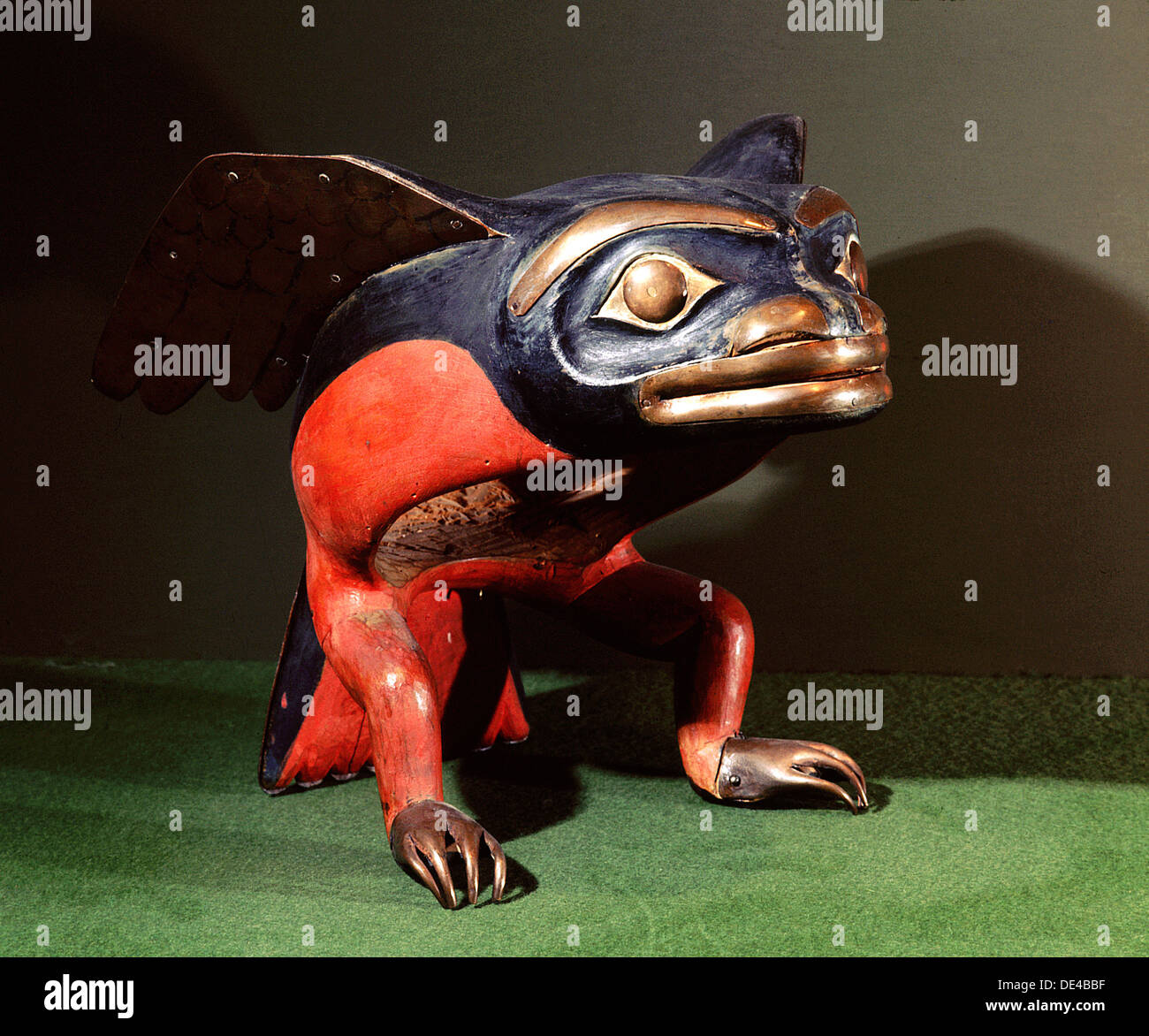 Indian flying frog hi-res stock photography and images - Alamy