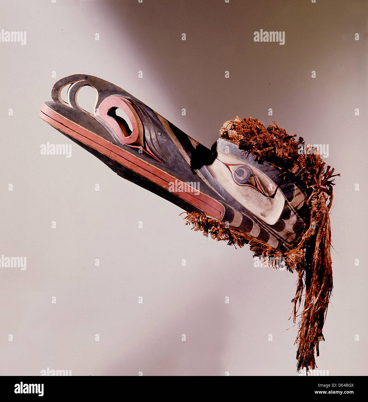 Upper beak hi-res stock photography and images - Alamy