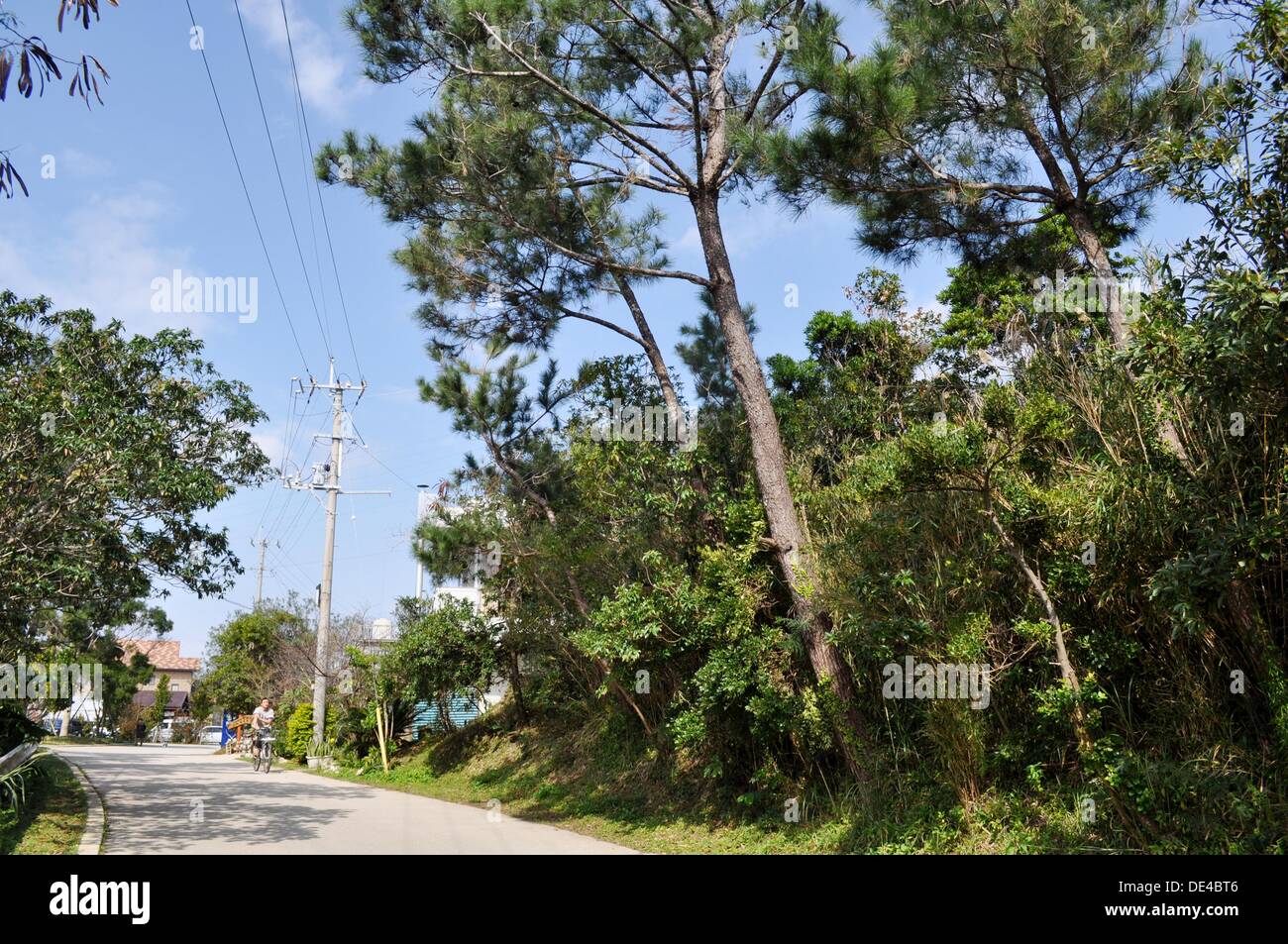 Yomitan village hi-res stock photography and images - Alamy