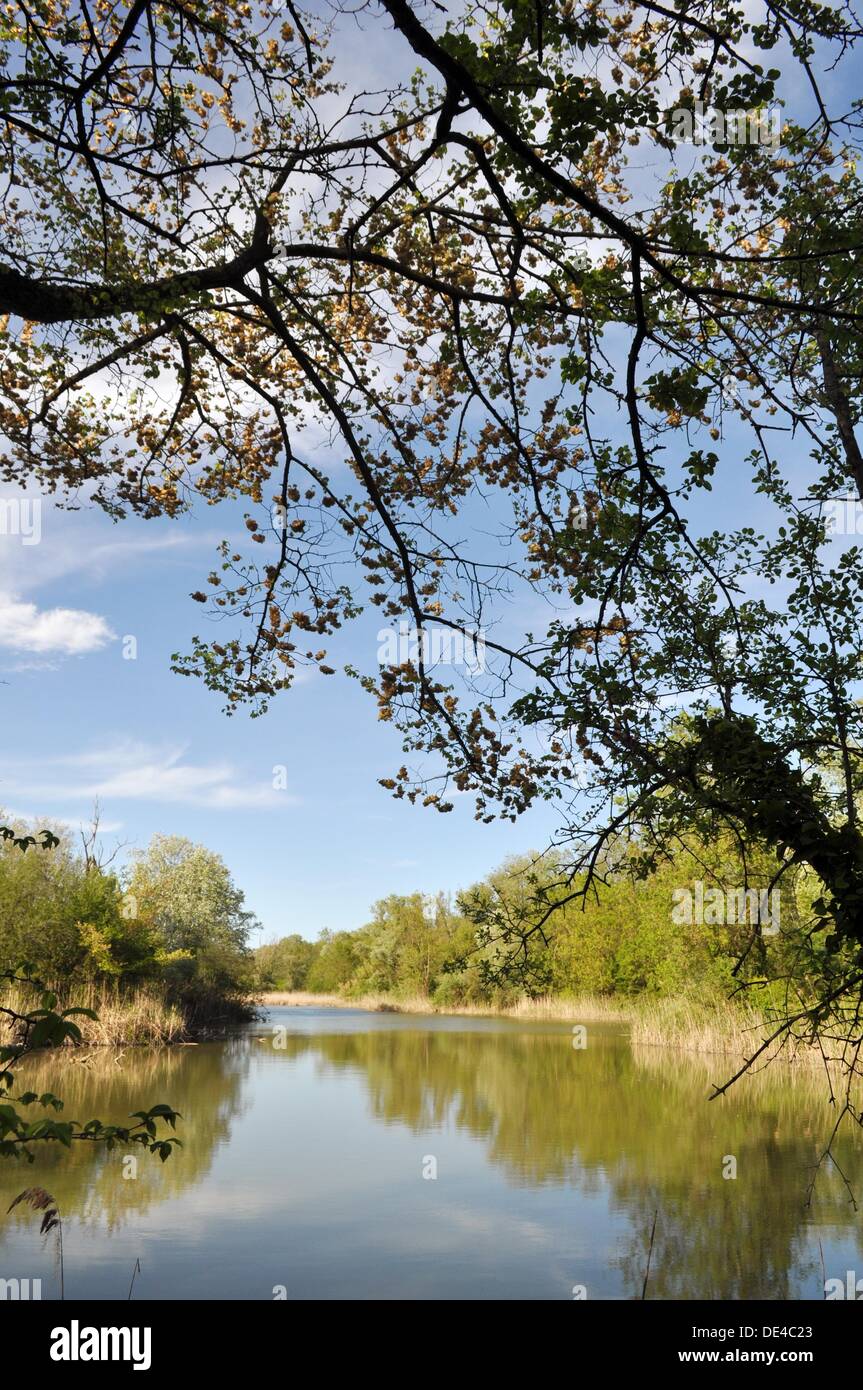 Po River Delta, Italy: Punte Alberete nature reserve Stock Photo - Alamy