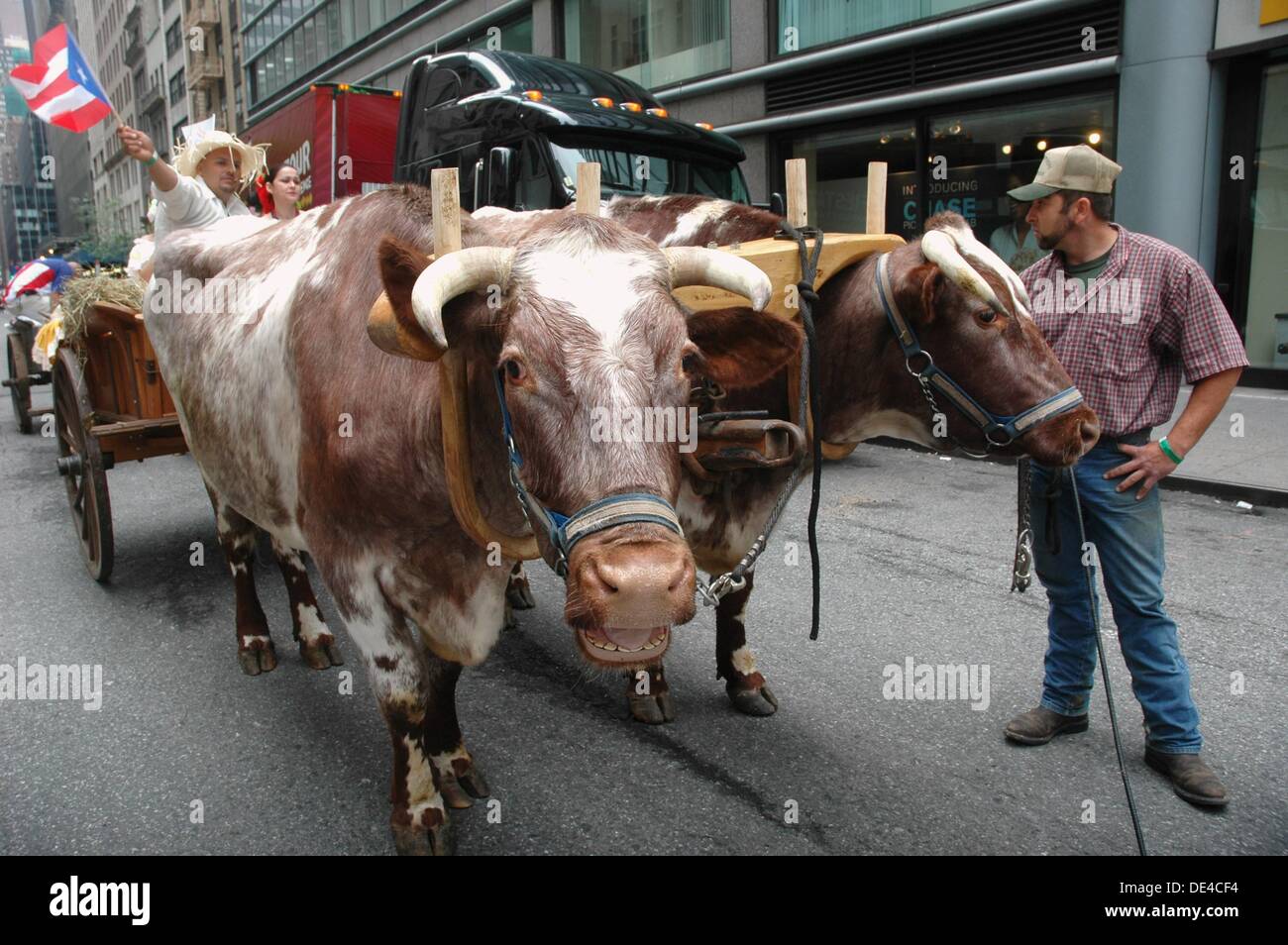 Big as an ox hi-res stock photography and images - Alamy