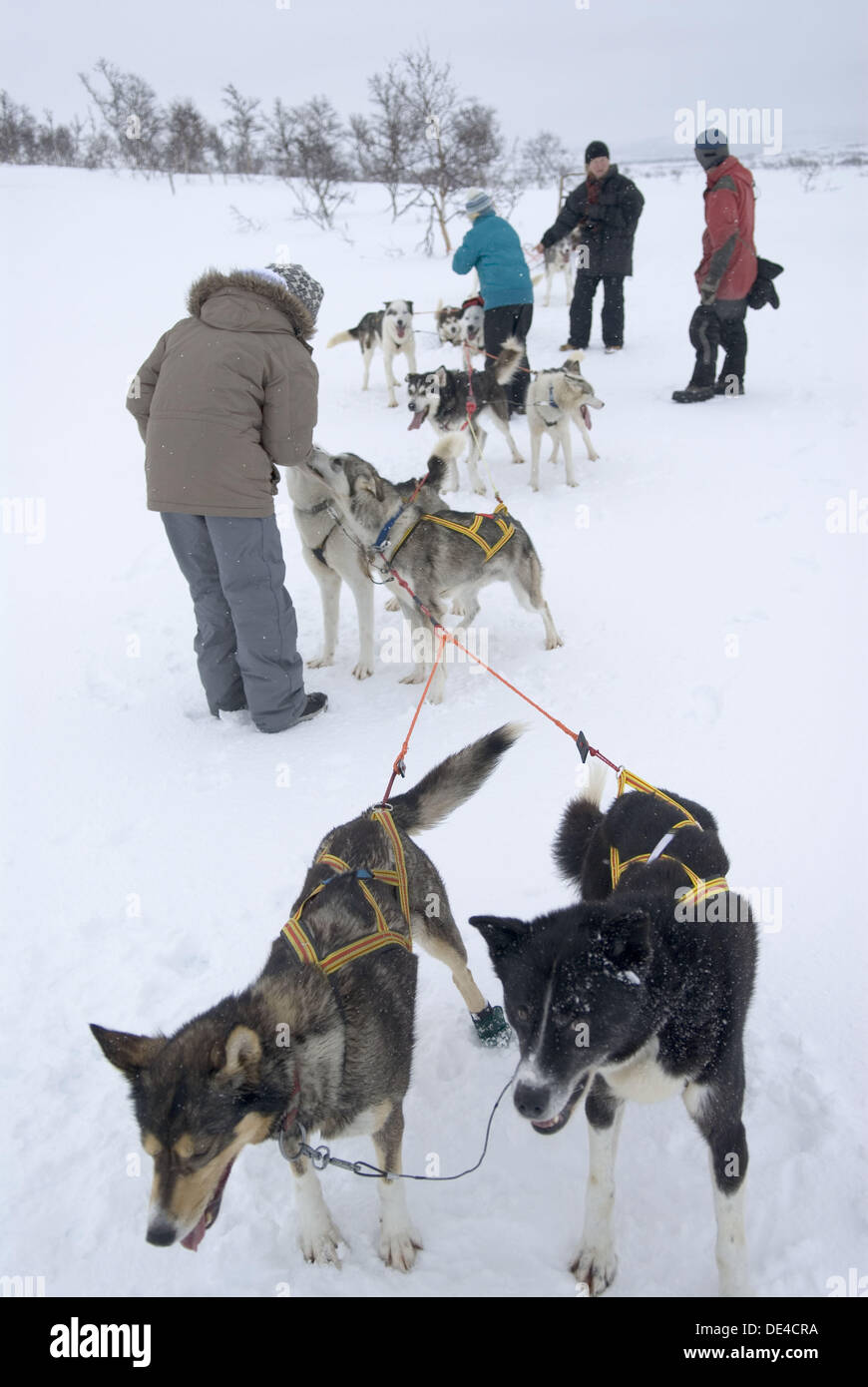 Storlien Sweden High Resolution Stock Photography and Images - Alamy