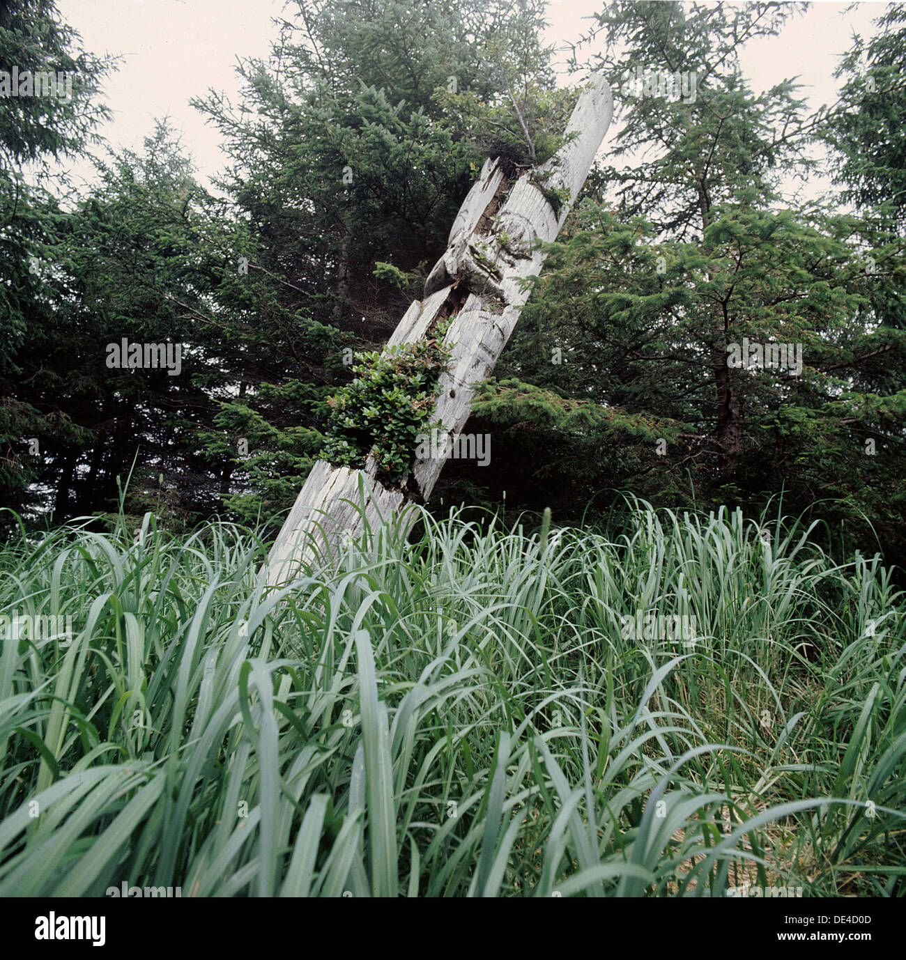 Mortuary totem pole hi-res stock photography and images - Alamy