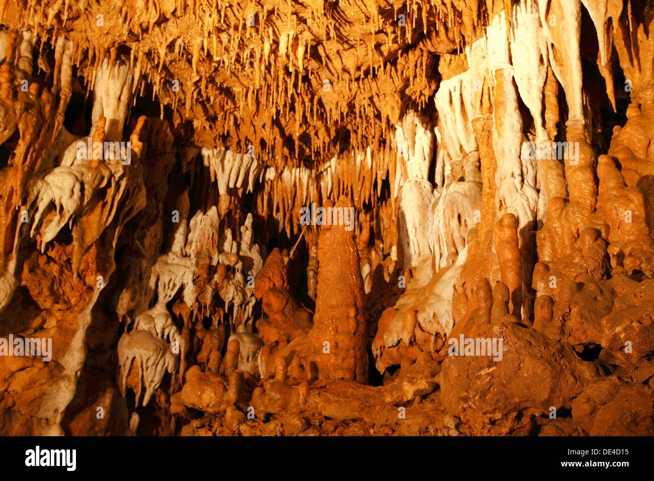 Florida caverns state park florida hi-res stock photography and images ...