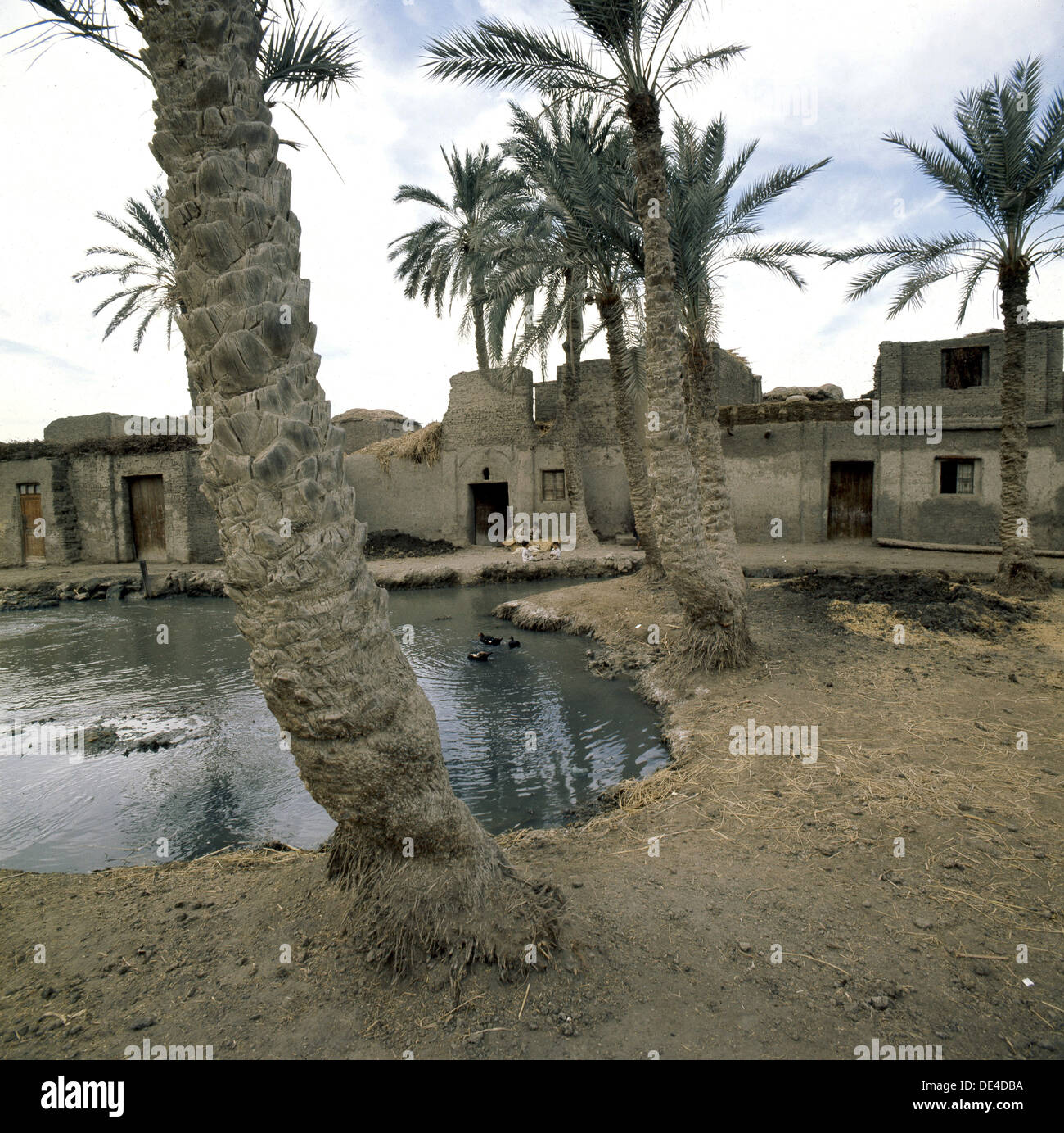 Oasis fayum hi-res stock photography and images - Alamy