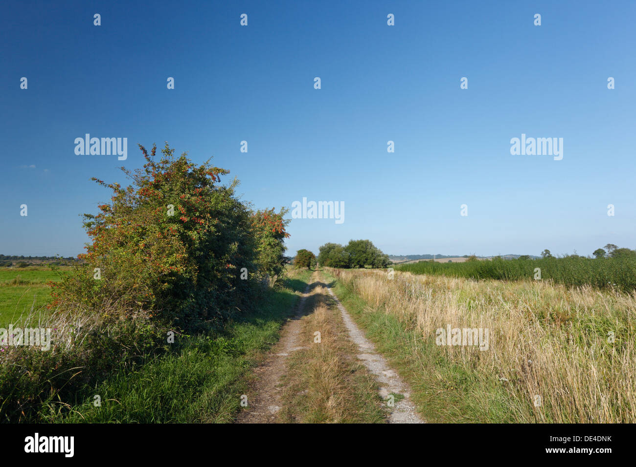 Battle of sedgemoor hi-res stock photography and images - Alamy