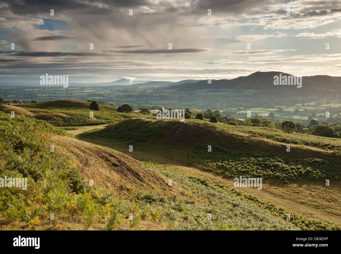 The lawley hi-res stock photography and images - Alamy