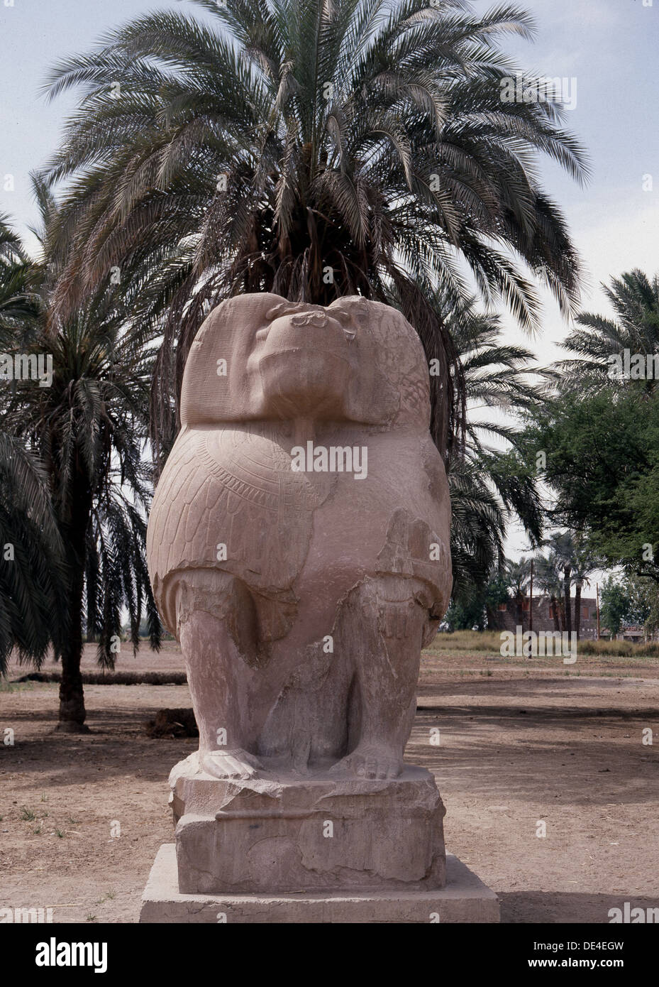 God thoth baboon hi-res stock photography and images - Alamy