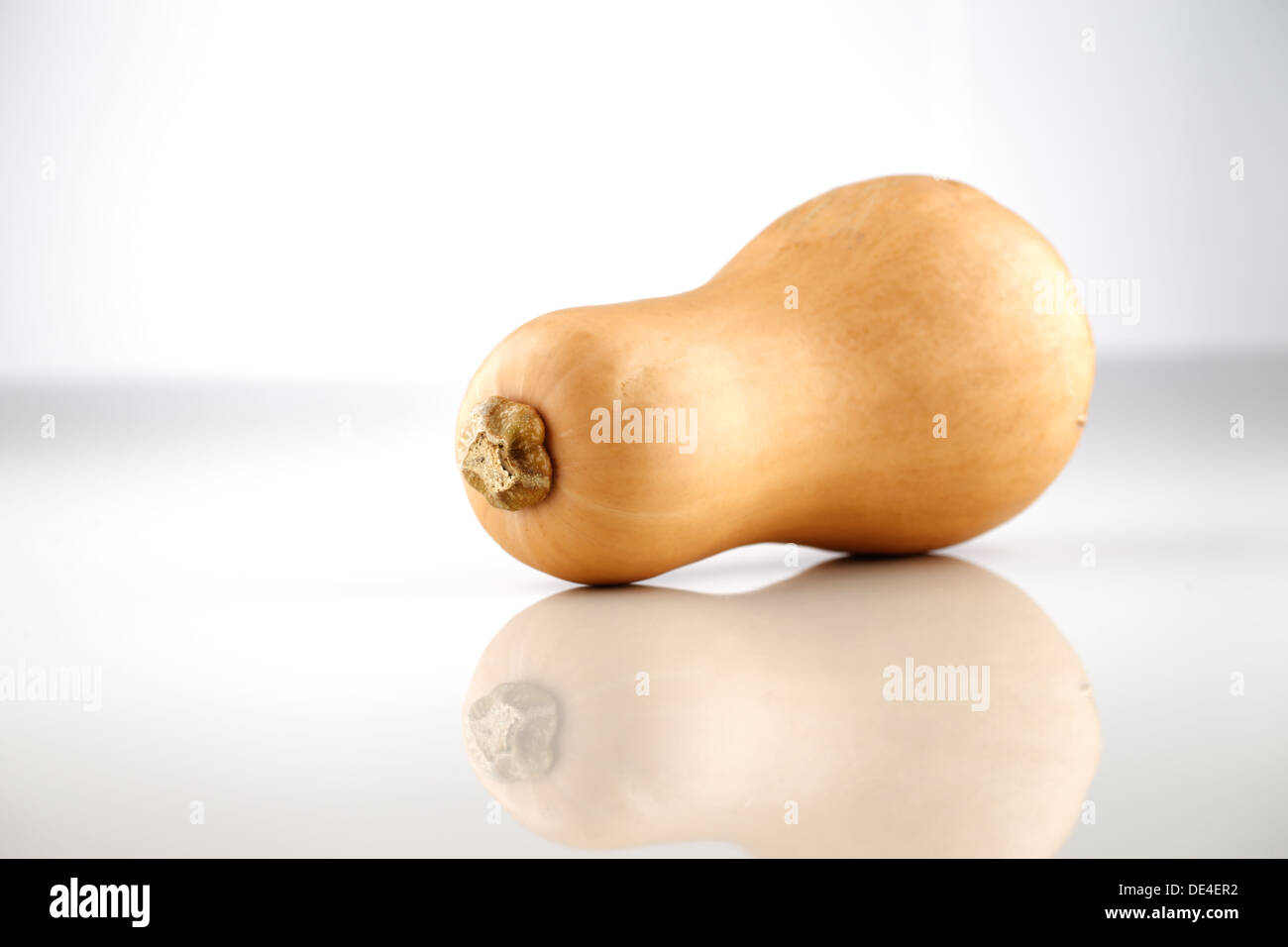 A whole organic Australian Squash photographed on a white ceramic ...