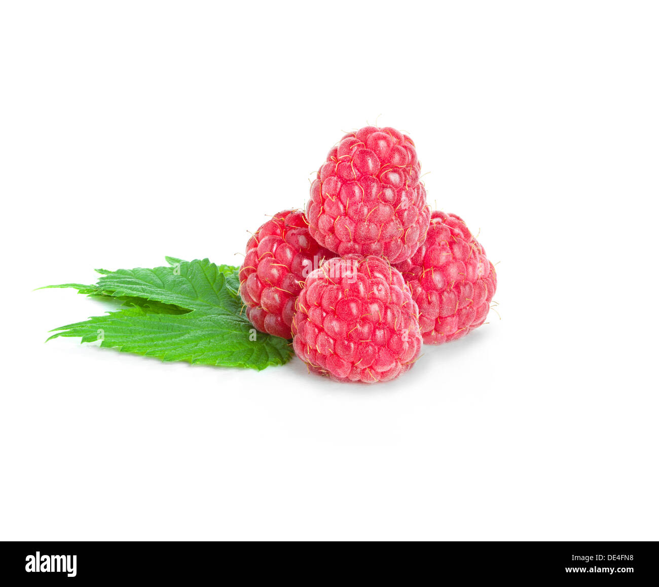 Closeup ripe raspberry green hi-res stock photography and images - Alamy