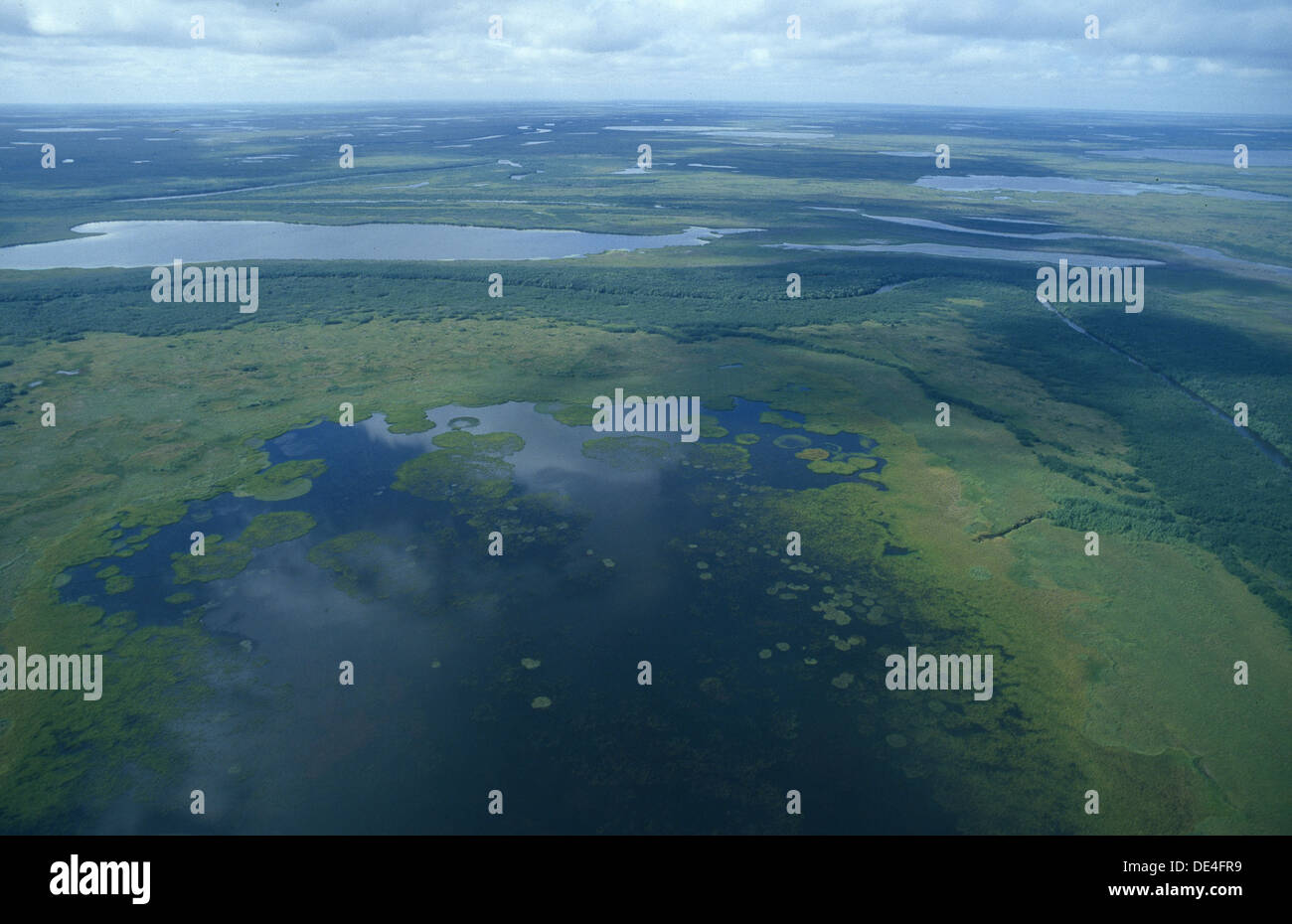 Yukon Kuskokwim High Resolution Stock Photography and Images - Alamy